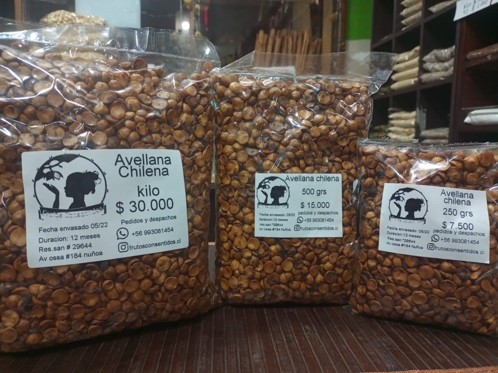 Avellanas chilenas – Frutos Consentidos
